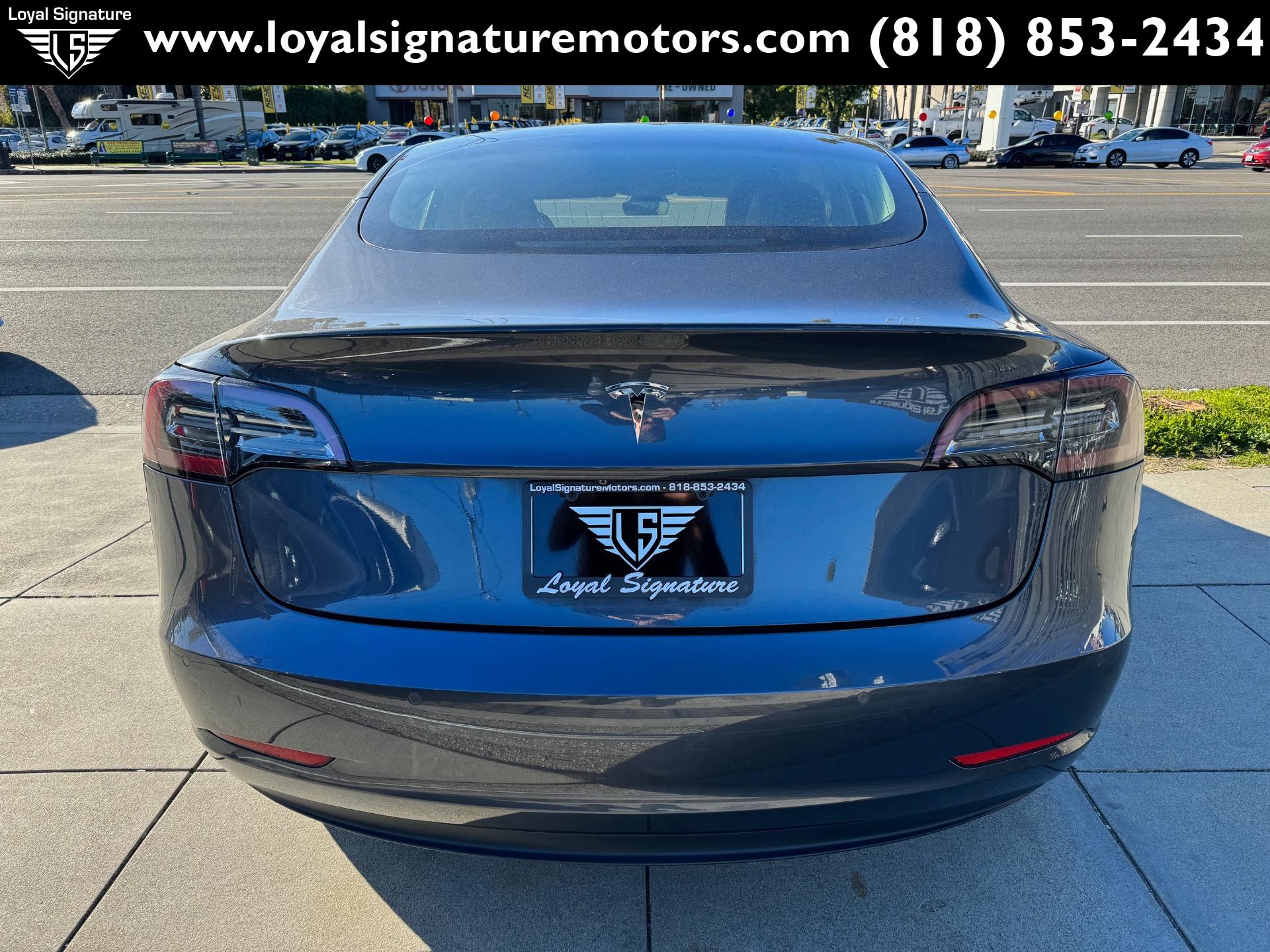 Used 2019 Tesla Model 3 Standard Range Plus For Sale ($26,999) | Loyal ...